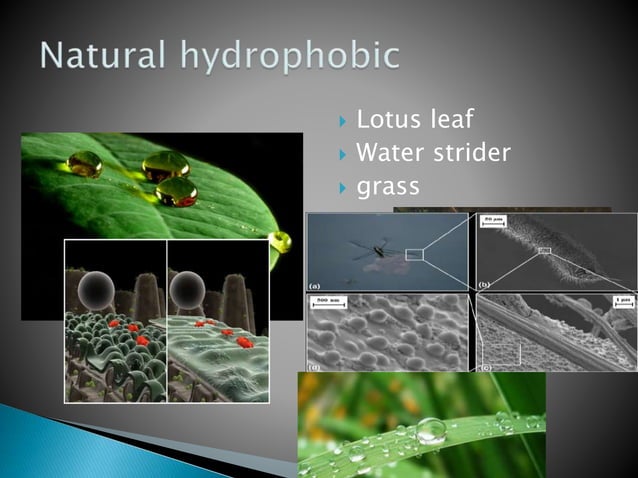 Super hydrophobic material | PPT