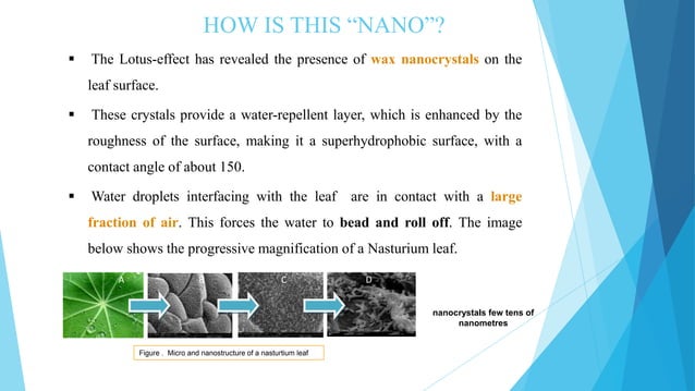 Superhydrophobic Materials | PPTX