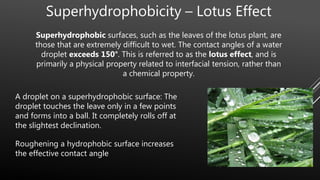 Superhydrophobic materials | PPTX