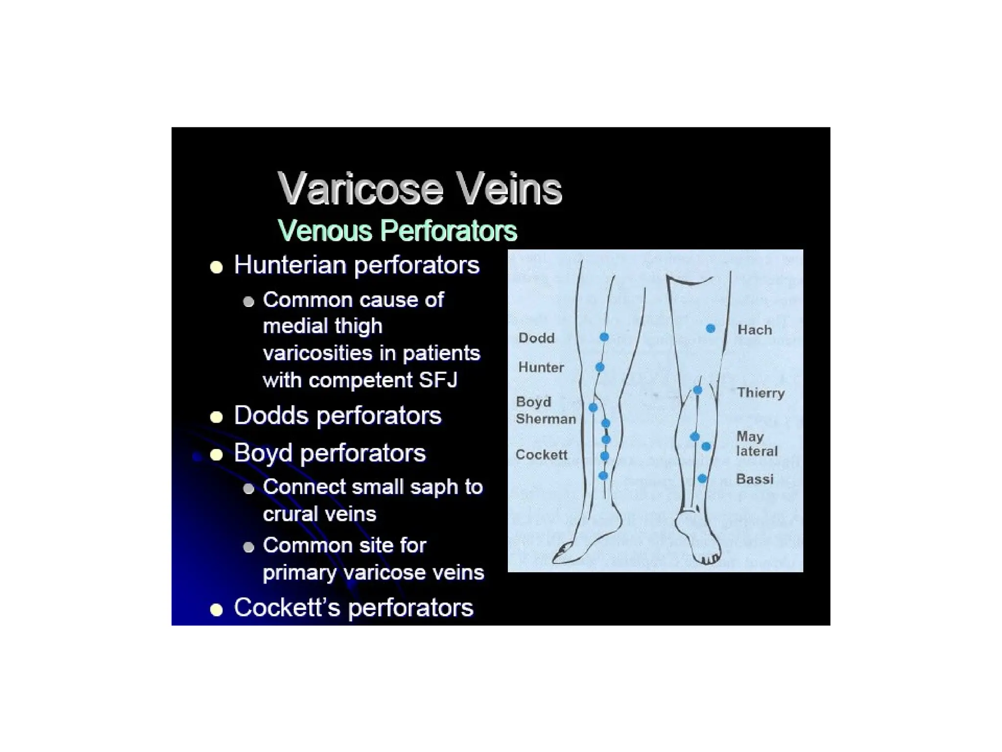 ANATOMY OF THE SUPERFICIAL VENOUS SYSTEM | PPT