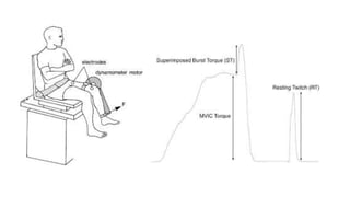 Superimposed currents | PPTX | Physical Therapy | Wellness
