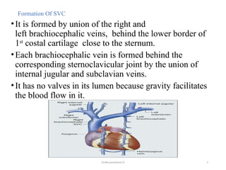 SVC, IVC, PORTAL VEIN DETAIL ANTOMY ALONG WITH APPLIED ASPECTS | PPTX