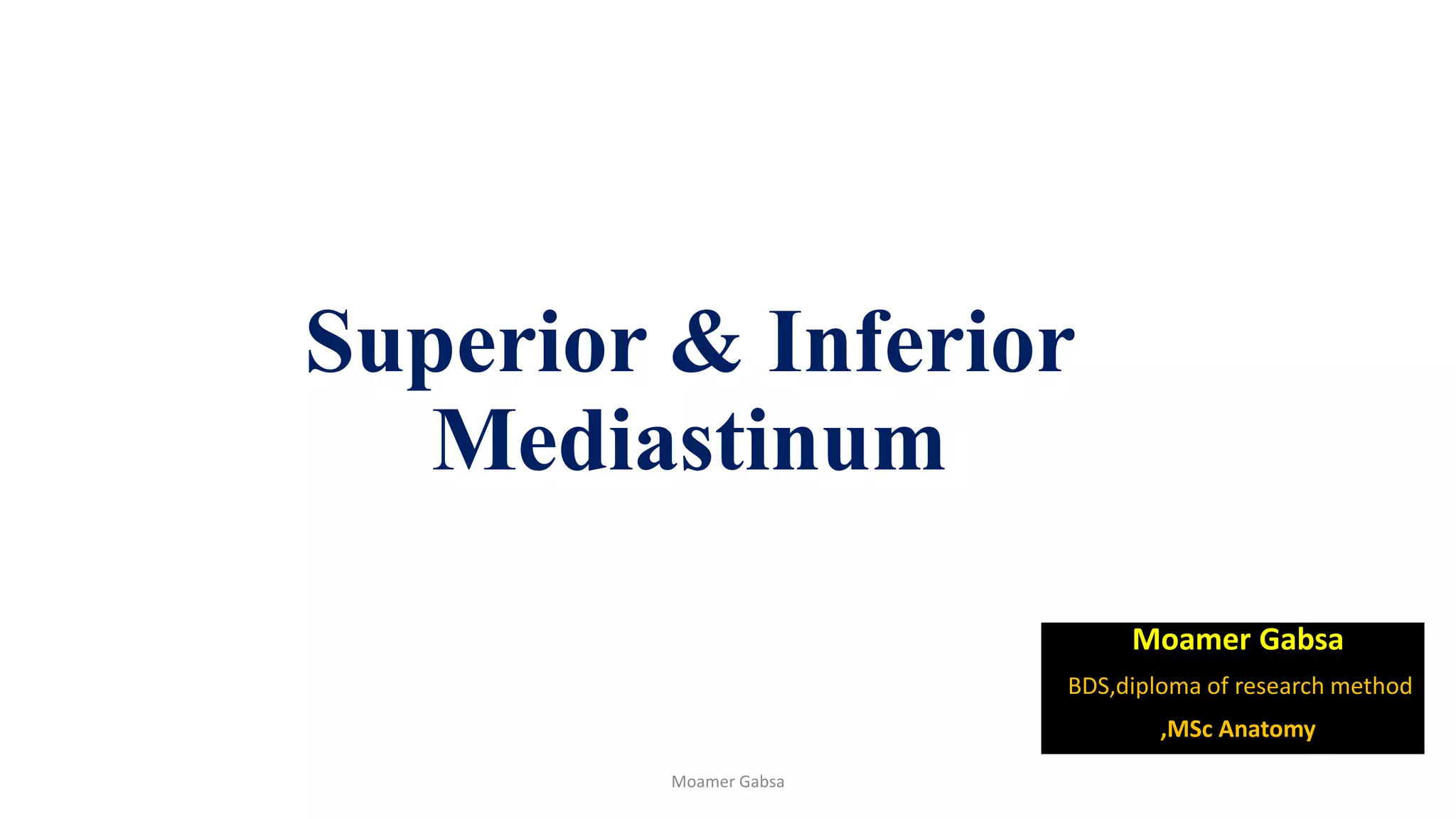 Superior and inferior mediastinum | PPT