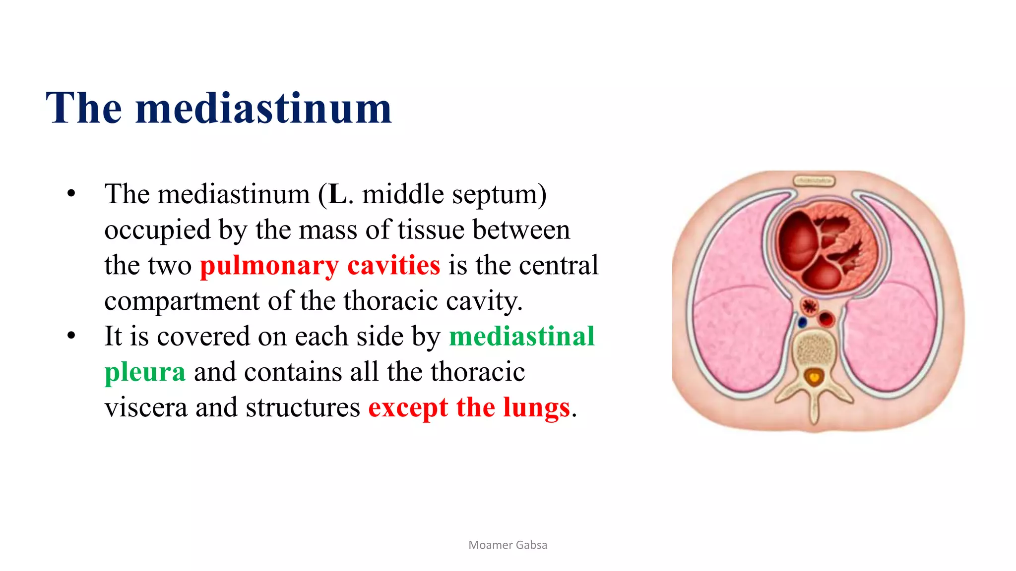 Superior and inferior mediastinum | PPT
