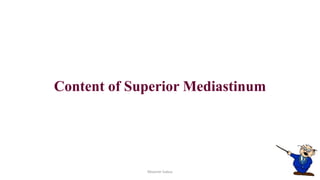 Superior and inferior mediastinum | PPT