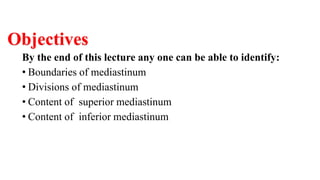 Superior and inferior mediastinum | PPT