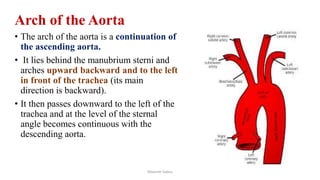 Superior and inferior mediastinum | PPT