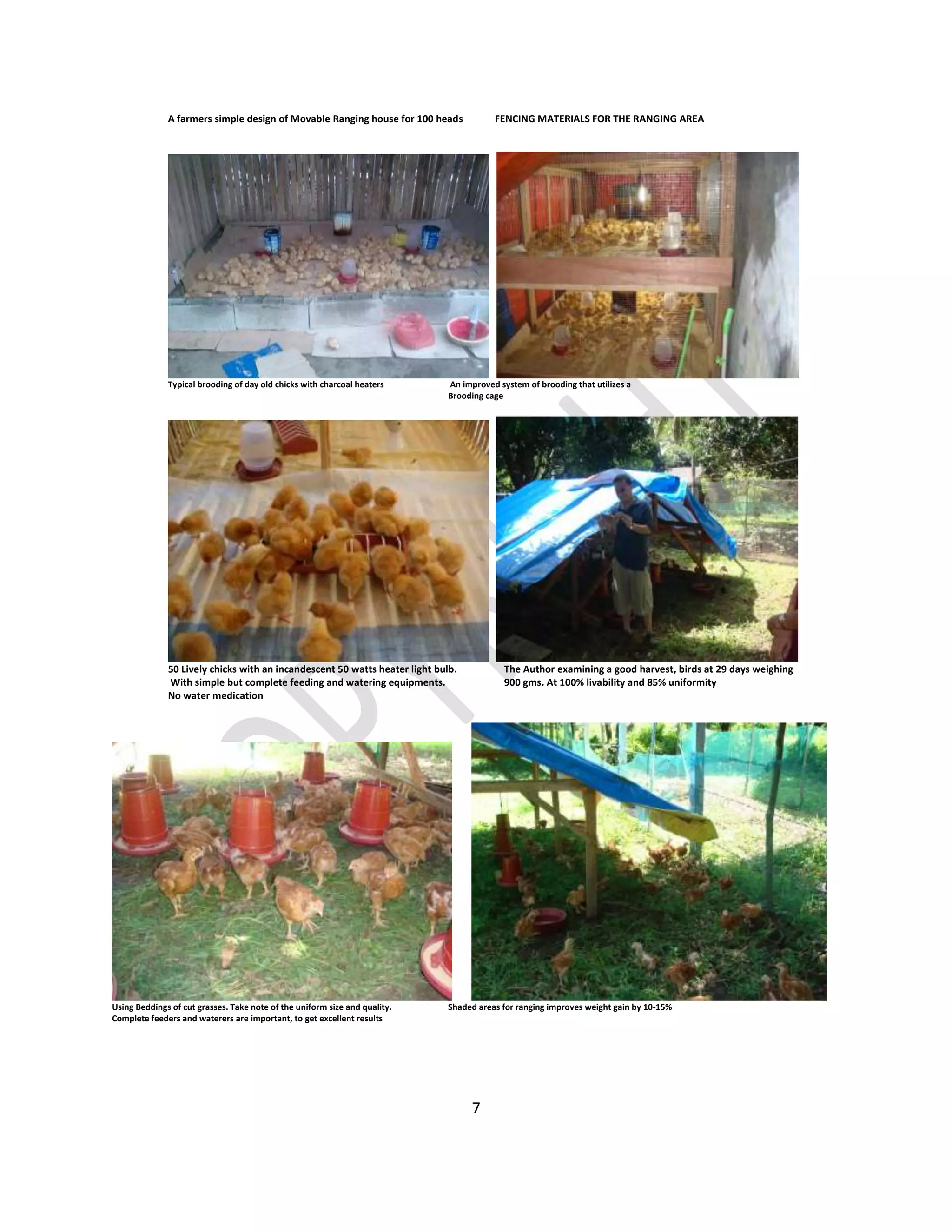 Superior NEW F1 FRC meat type.doc