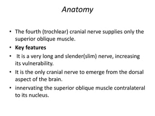 Superior oblique palsy | PPT