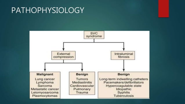 Superior vena cava syndrome | PPTX | Heart and Cardiovascular Diseases ...