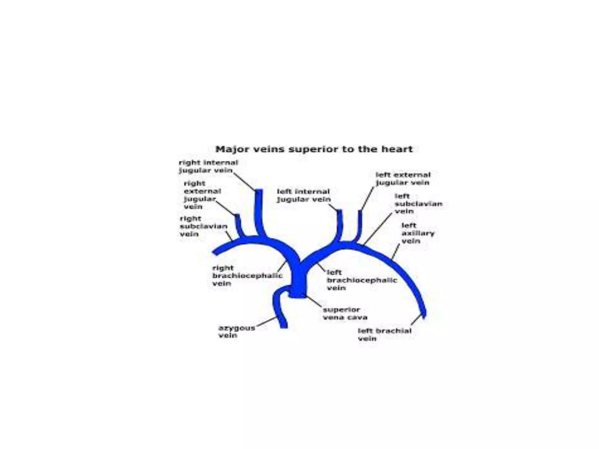 Superior vena cava syndrome | PPTX