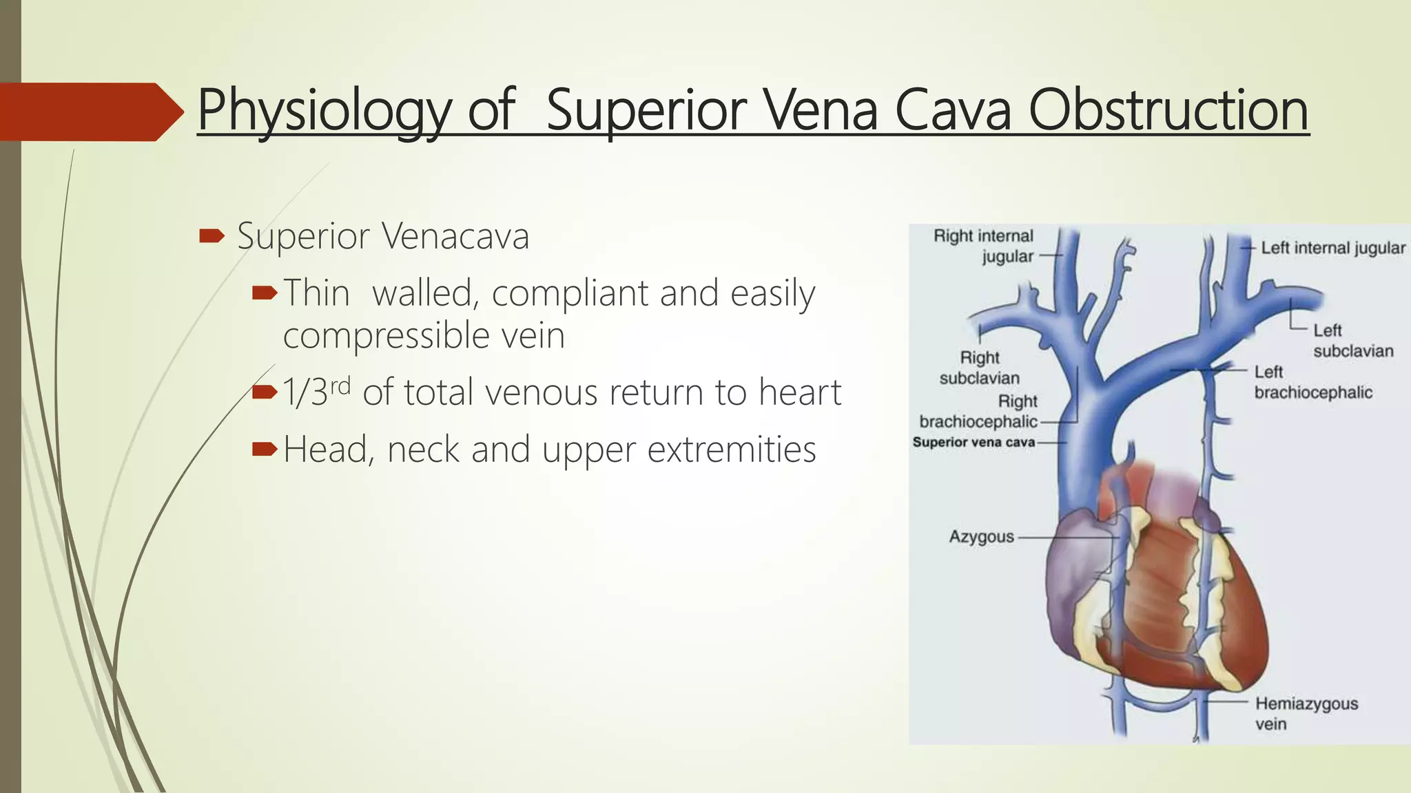 Superior Vena Cava Syndrome | PPTX
