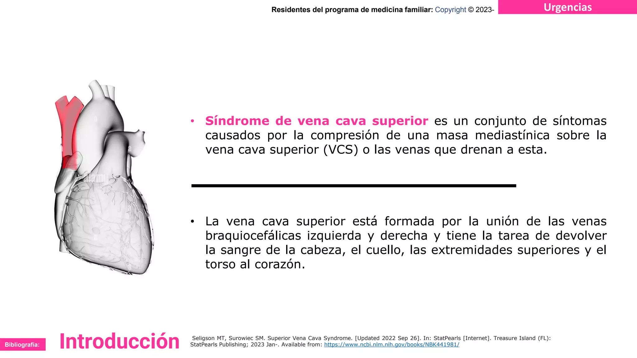 Síndrome de la vena cava superior | PDF