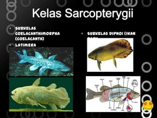 Superkelas pisces materi biologi SMA kelas X | PPTX