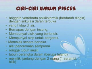 Superkelas pisces materi biologi SMA kelas X | PPTX