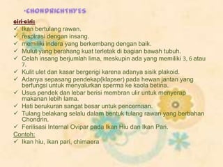 Superkelas pisces materi biologi SMA kelas X | PPTX