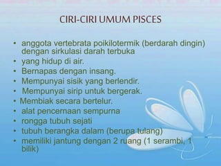 Superkelas pisces mteri BIOLOGI SMA kelas X | PPTX