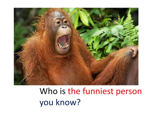 Superlative and present perfect | PPTX