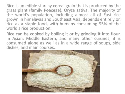 Super Long Grain Basmati Rice.pptx