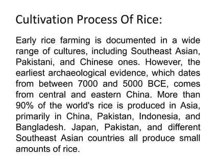 Super Long Grain Basmati Rice.pptx