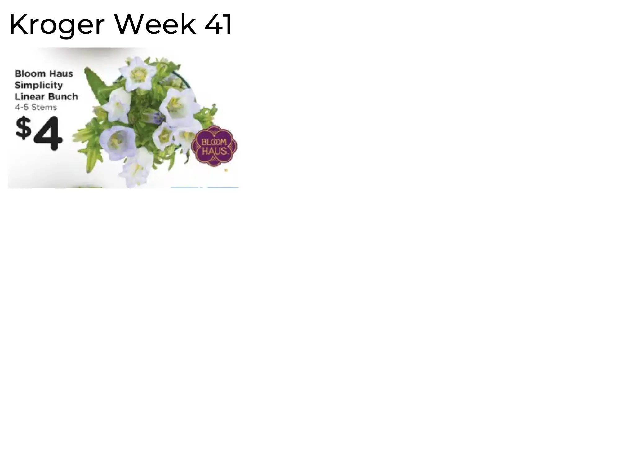 Supermarket Floral Ad Roundup- Week 41 2025.pdf