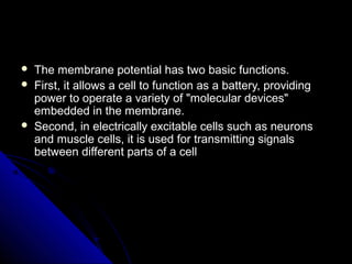 Supernormal conduction | PPT