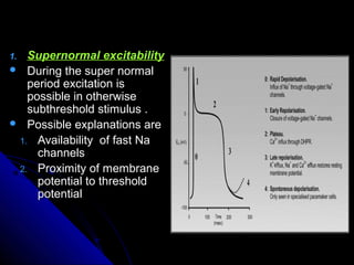 Supernormal conduction | PPT