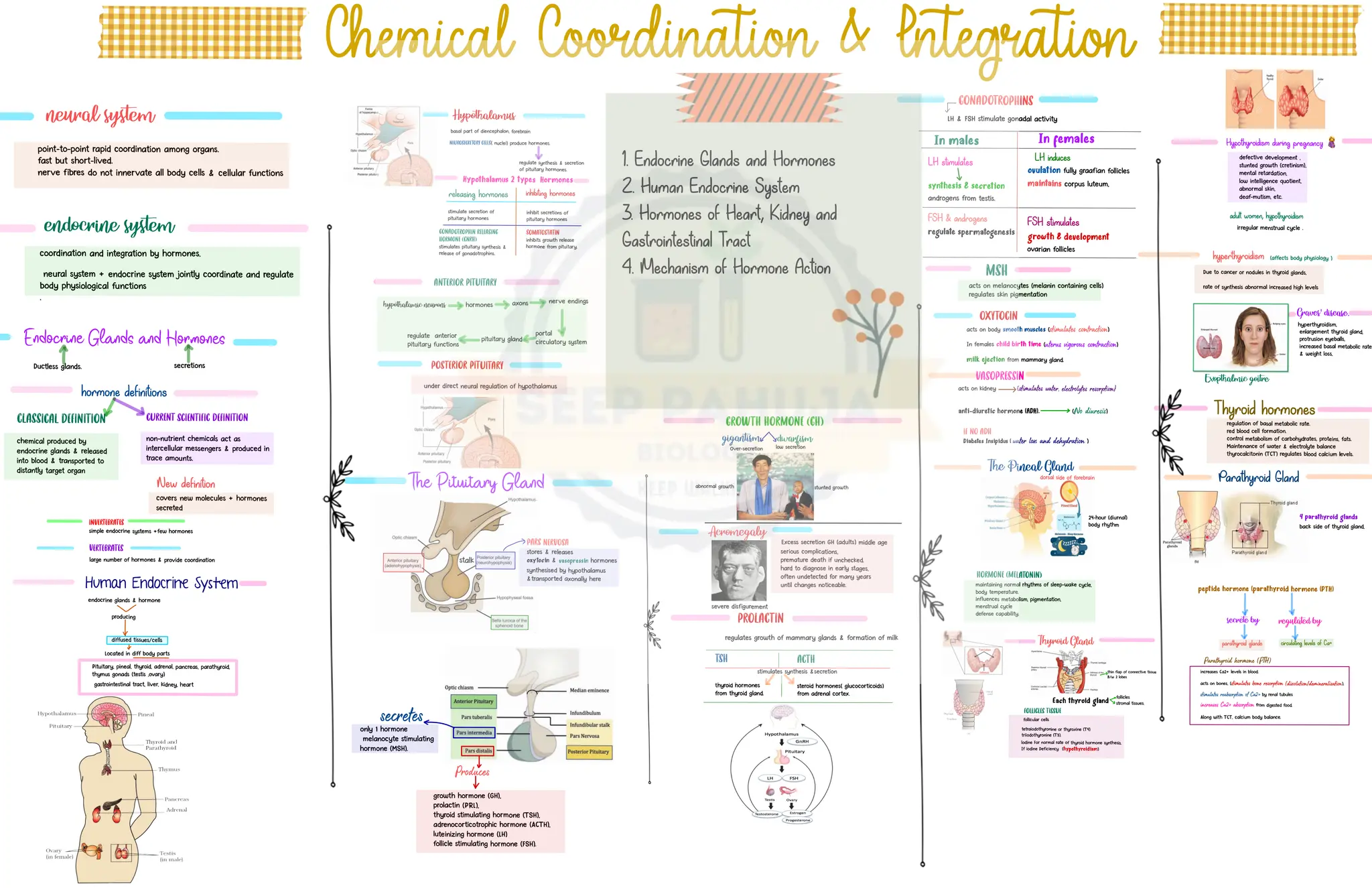 Super Notes for biology in short notes u will like it | PDF