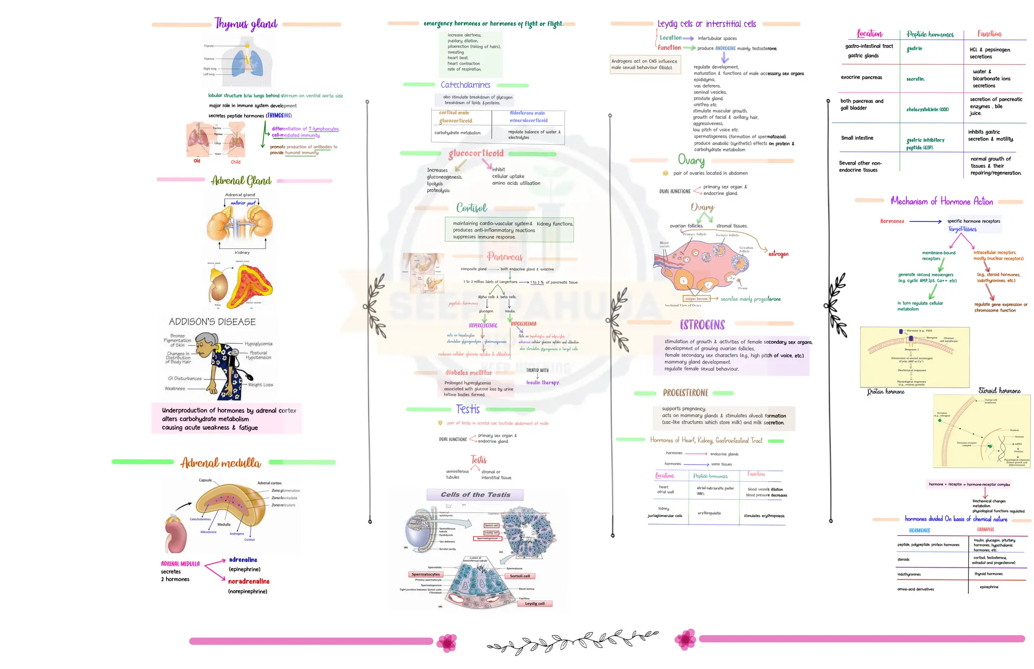 Super Notes for biology in short notes u will like it | PDF