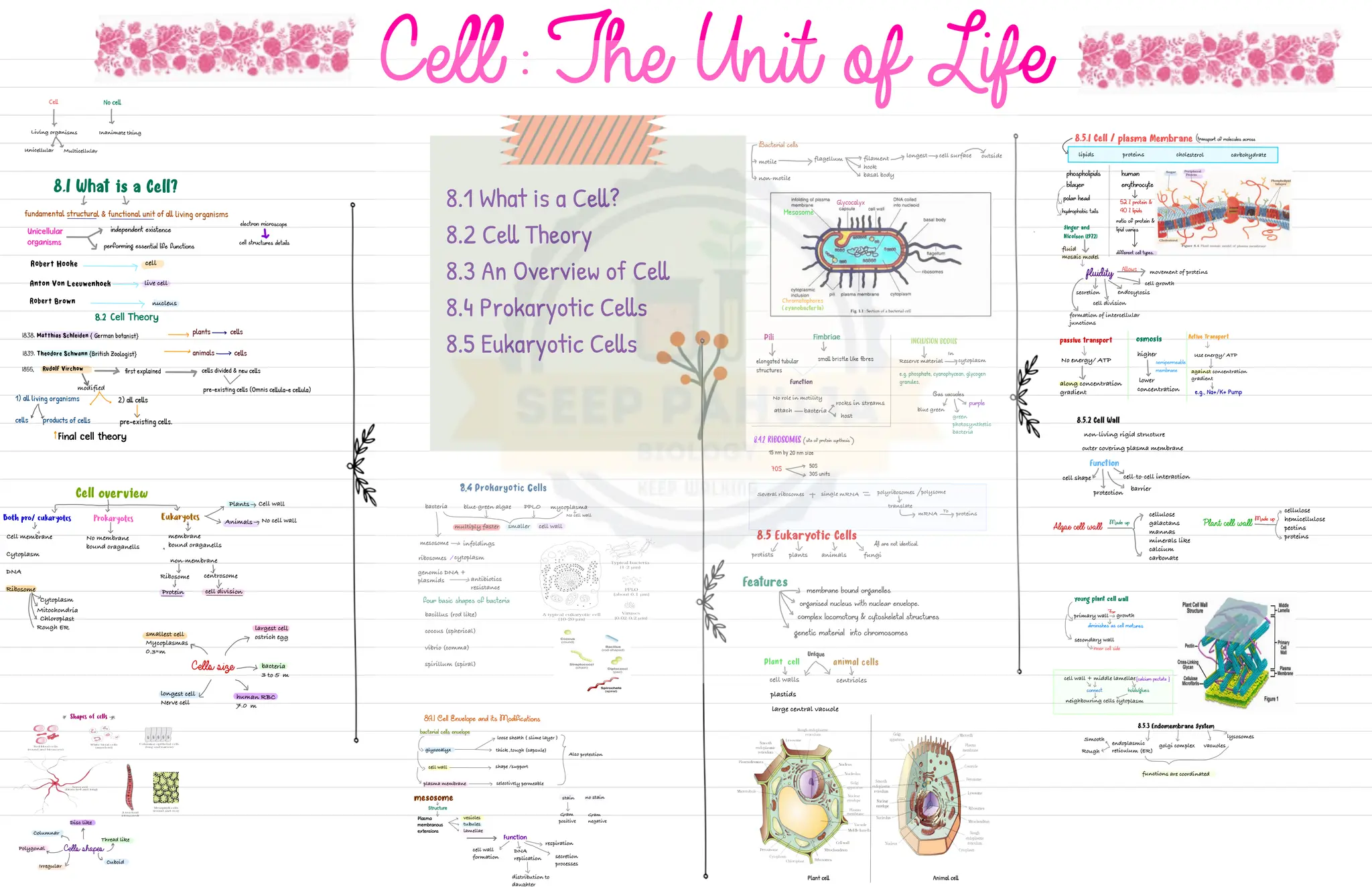 Super Notes for biology in short notes u will like it | PDF