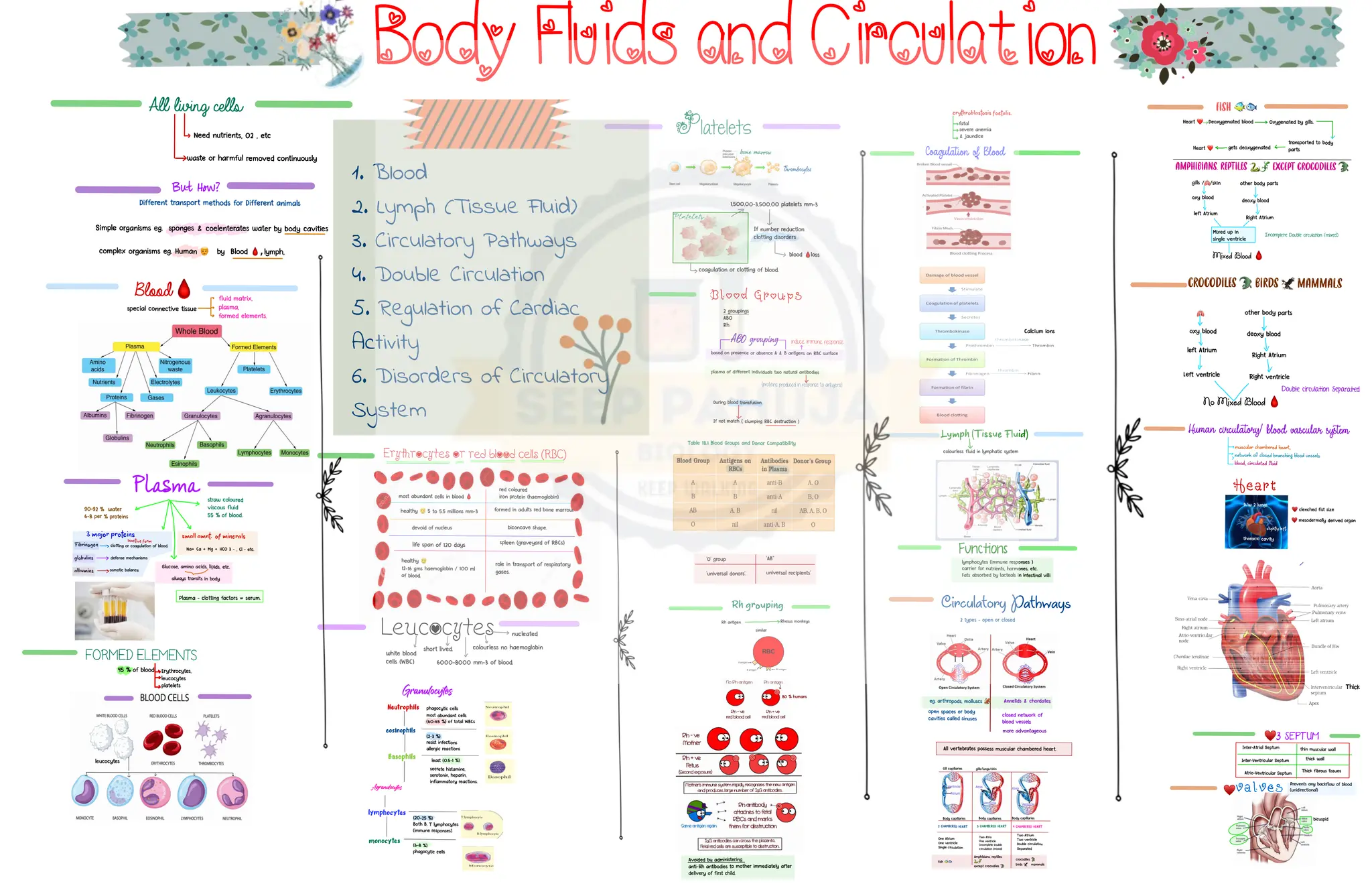 Super Notes for biology in short notes u will like it | PDF