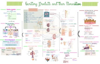 Super Notes for biology in short notes u will like it | PDF