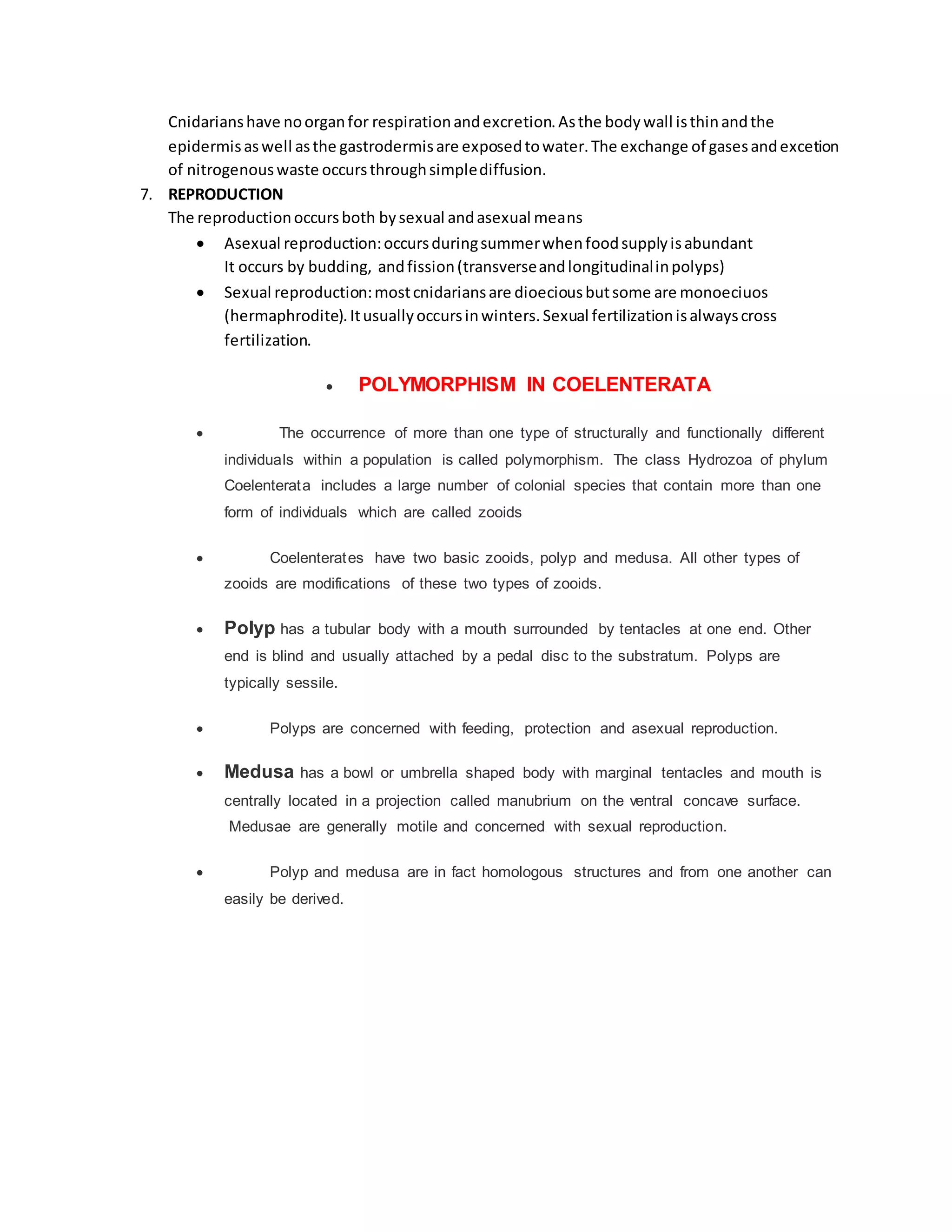 Superphylum radiata | PDF