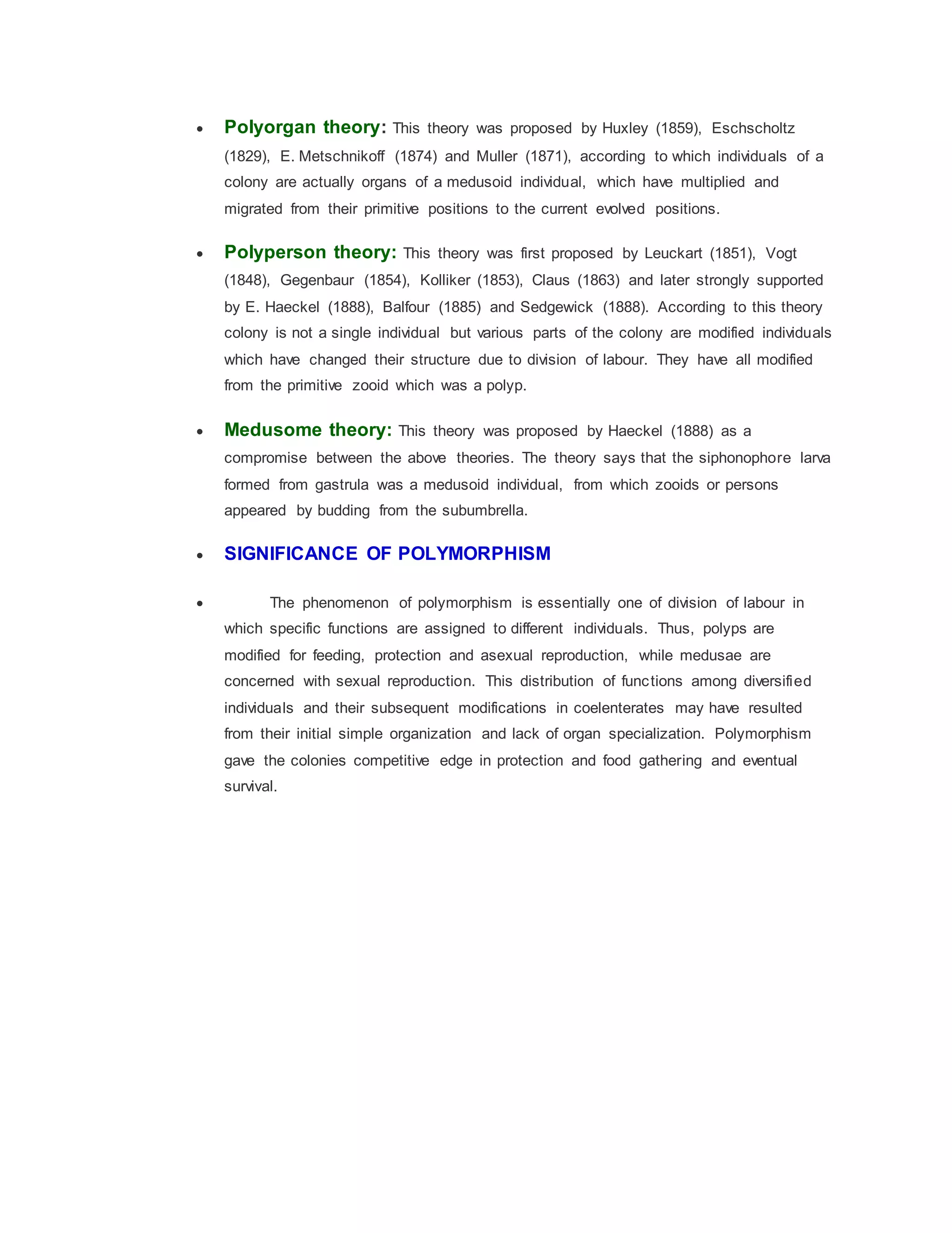 Superphylum radiata | PDF