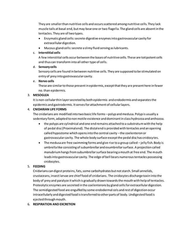 Superphylum radiata | PDF