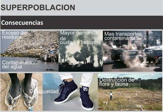 Superpoblacion | PPTX