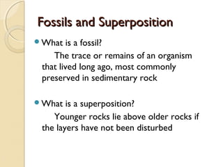 Law Of Superposition Fossils