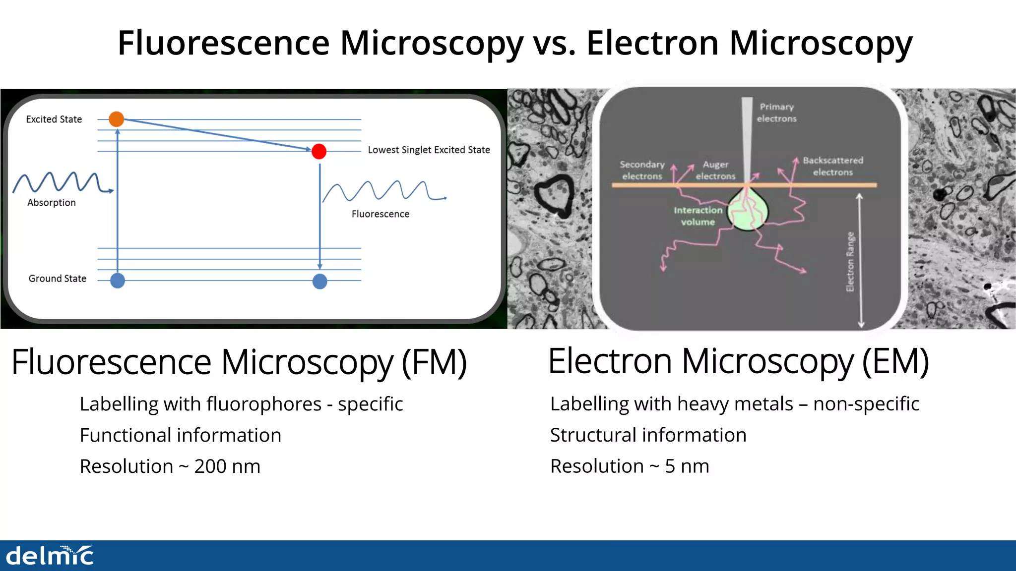 Superresolution Correlative Light and Electron Microscopy - DELMIC | PDF