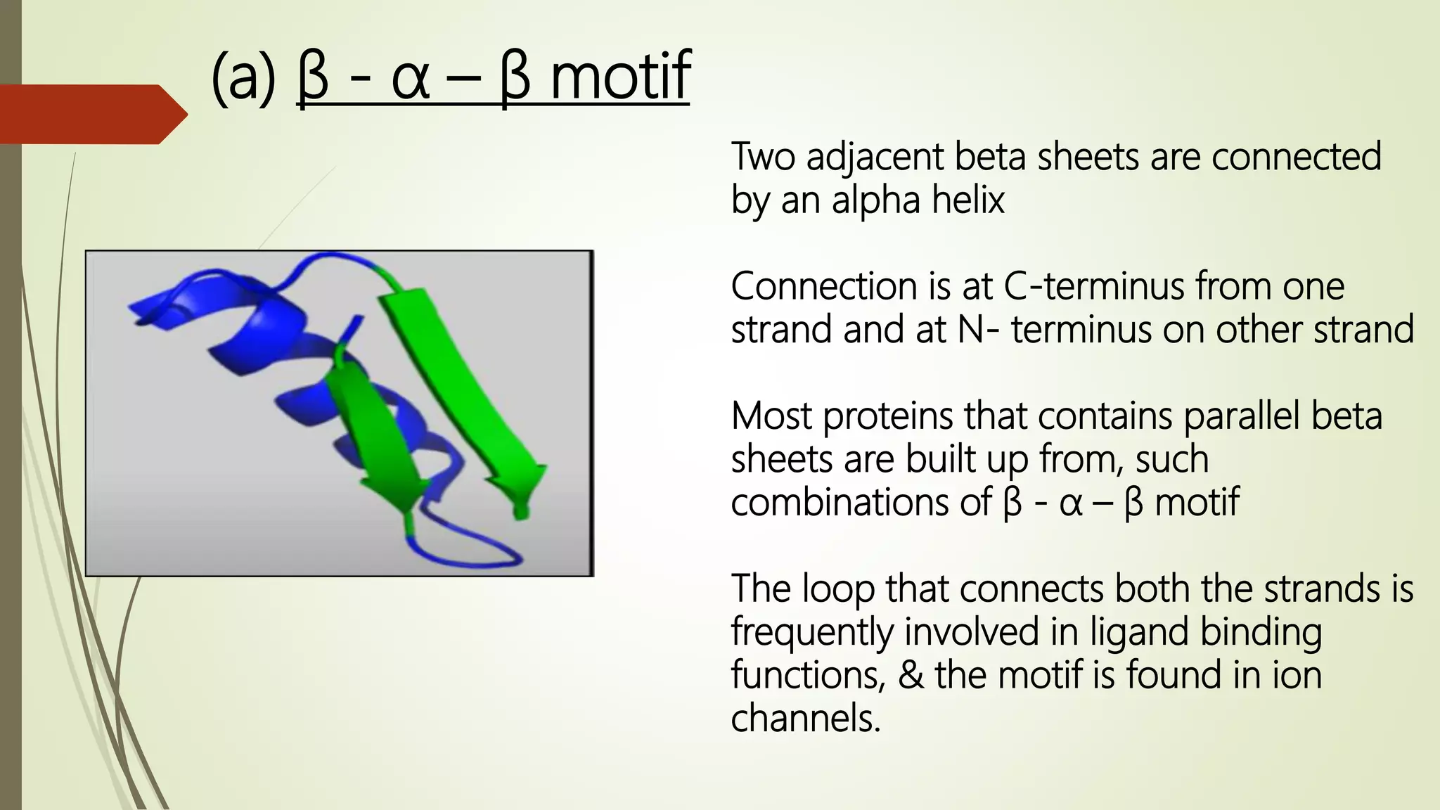 Super secondary structure of protein | PPTX