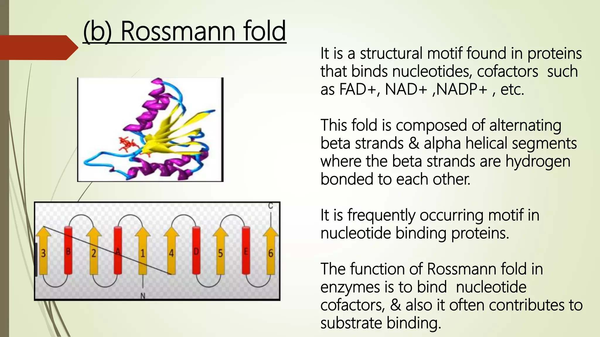 Super secondary structure of protein | PPTX