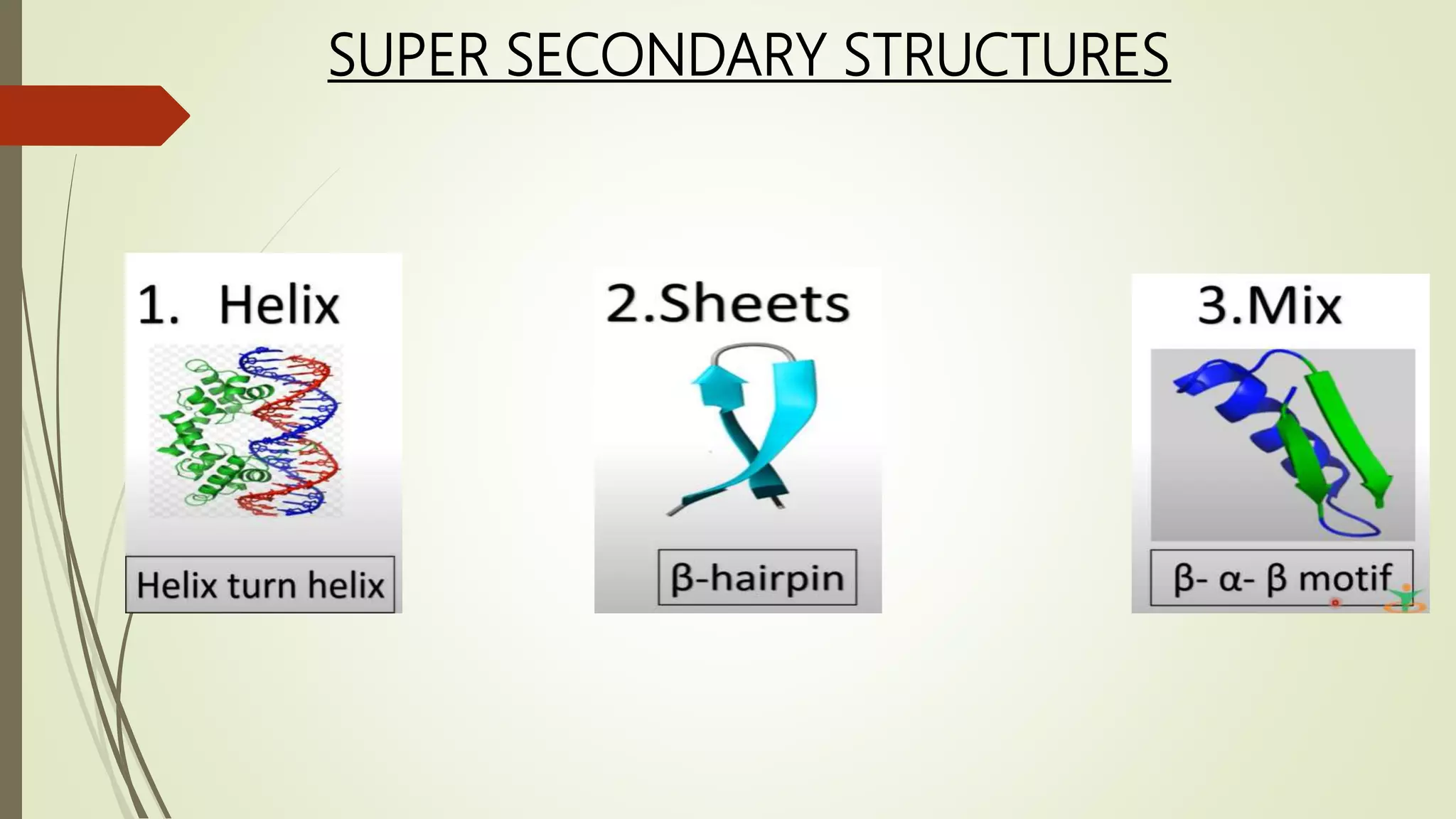 Super secondary structure of protein | PPTX