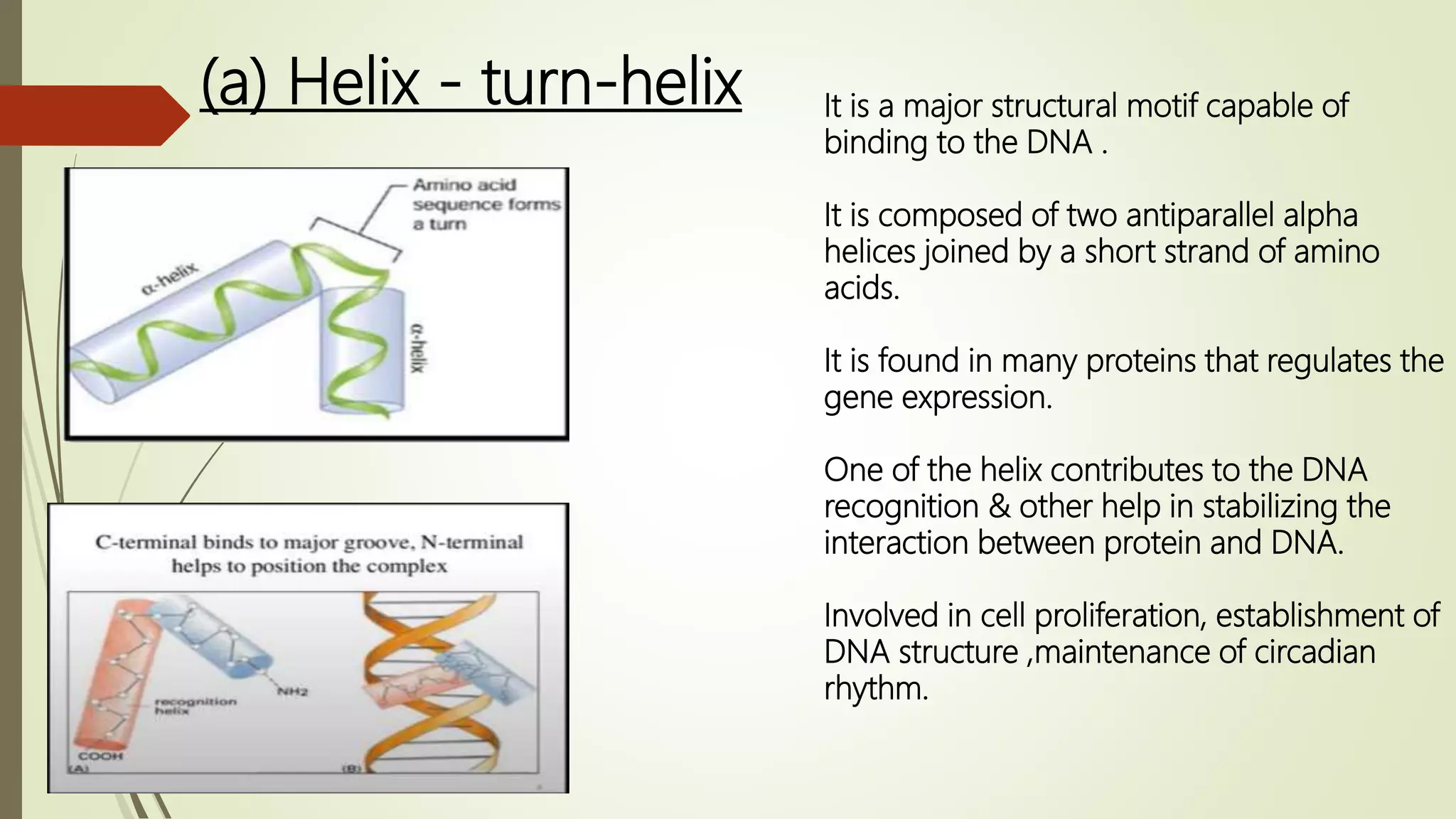 Super secondary structure of protein | PPTX