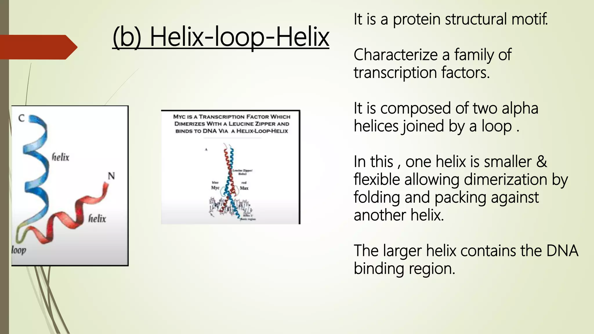 Super secondary structure of protein | PPTX
