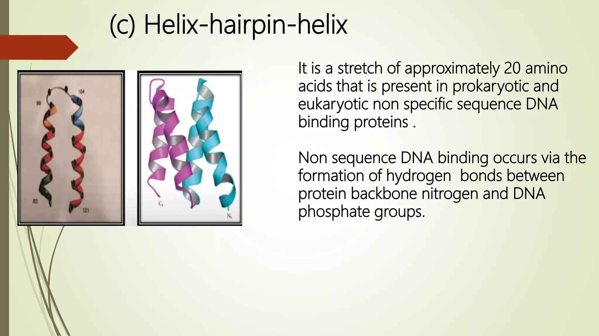 Super secondary structure of protein | PPTX