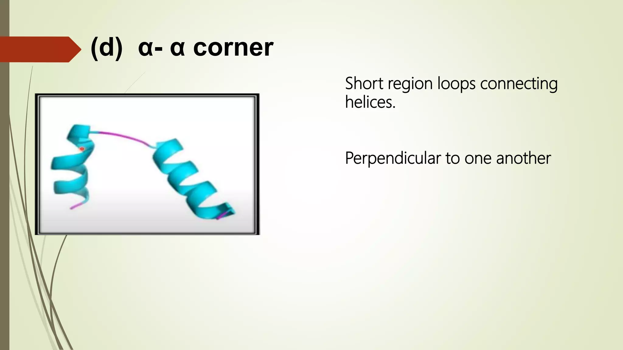 Super secondary structure of protein | PPTX