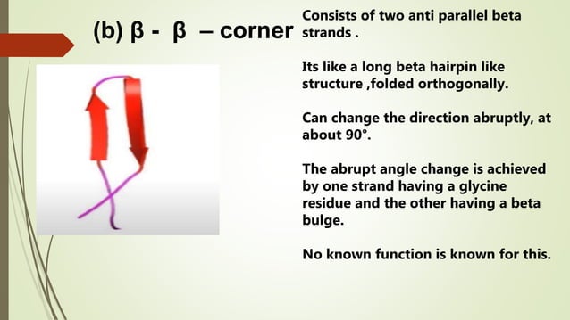 Super secondary structure of protein | PPTX
