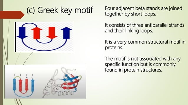 Super secondary structure of protein | PPT