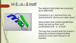 Super secondary structure of protein | PPTX