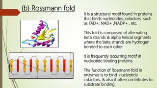 Super secondary structure of protein | PPTX