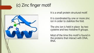 Super secondary structure of protein | PPTX